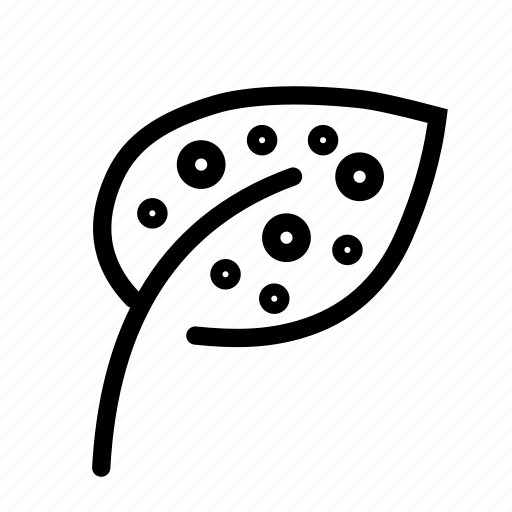 FIP606 - Teste de Scott-Knott